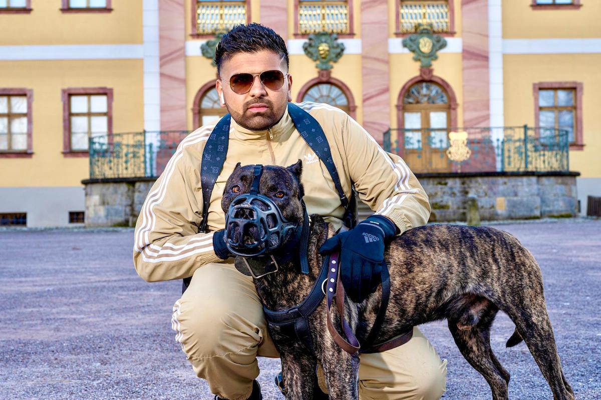 MusikBlog - Shahri - Jeder Versuch war ein Versuch - Neue Single